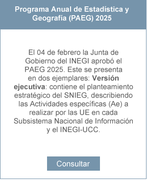 Se aprobó el Programa Anual de Estadística y Geografía 2025 – SNIEG